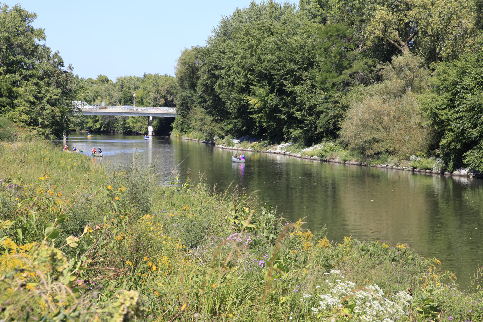 On-Ground Projects - International River Foundation